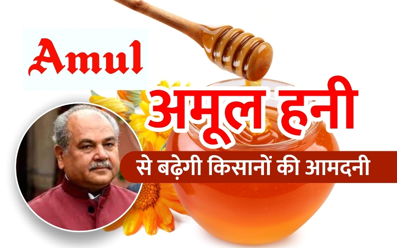 अमूल हनी लांच करेंगे कृषि मंत्री नरेंद्र तोमर, किसानों की आय होगी डबल ... अमूल हनी लांच करेंगे कृषि मंत्री नरेंद्र तोमर, किसानों की आय होगी डबल ...
